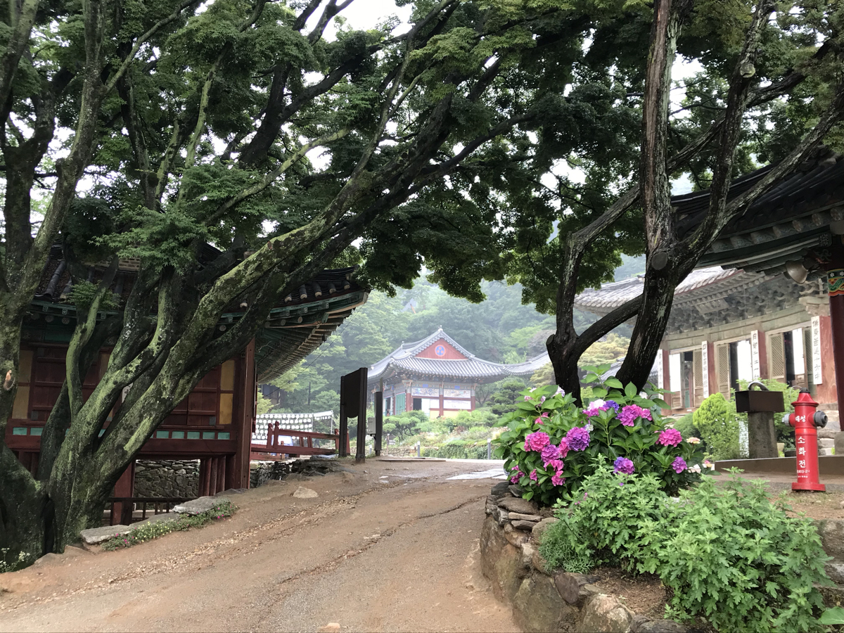 Templestay Korea – Adrian Falvey